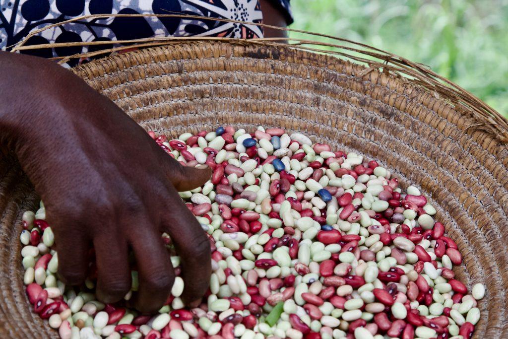 Rwanda Strategy for Sustainable Graduation: An overview - U-Learn